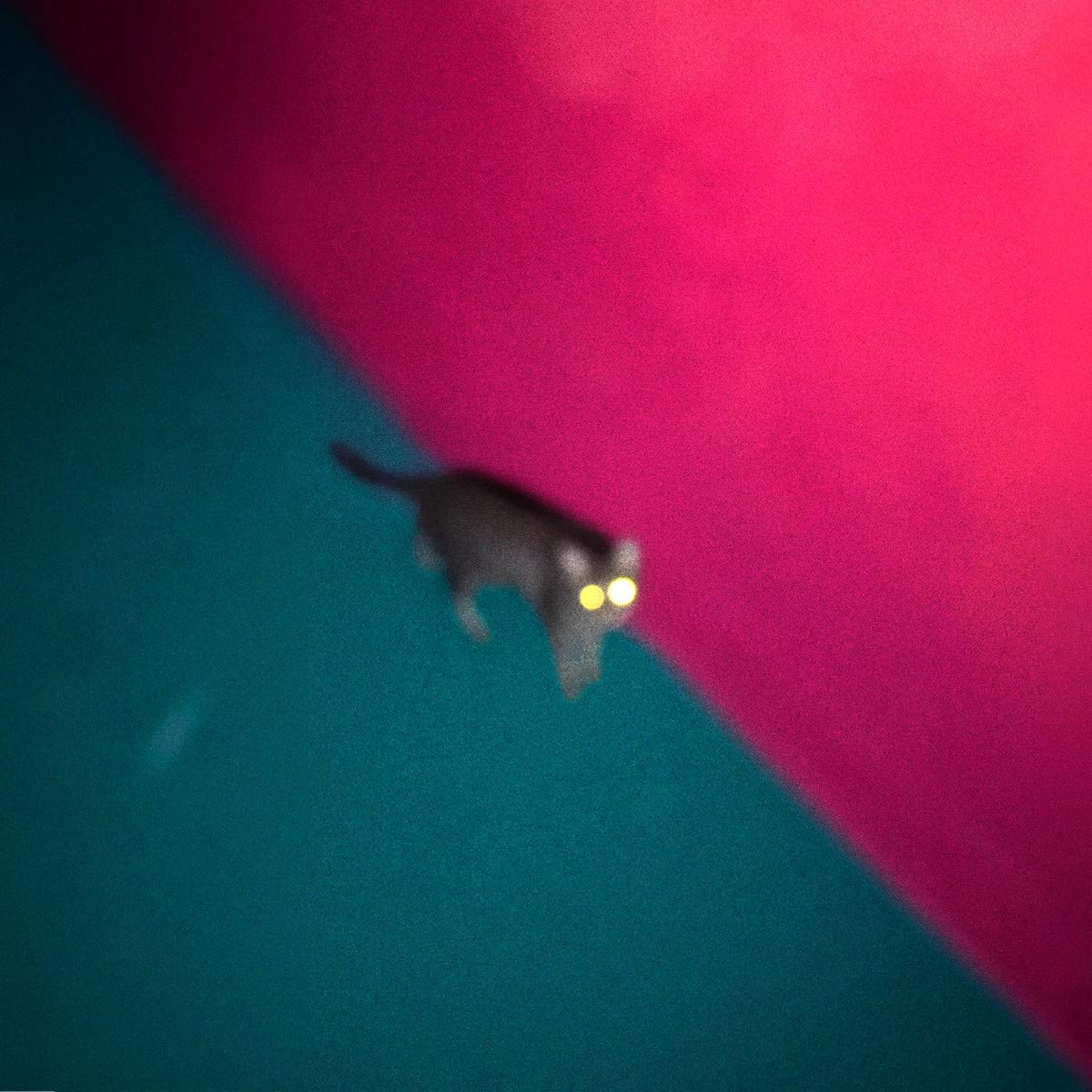 Wallop – Sessions Vinyl Room